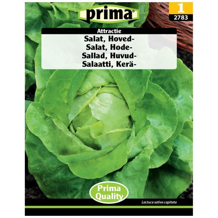 PRIMA® frø - Salat, Hoved – Suztain A/S